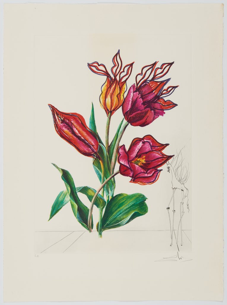 Salvador Dalí, Surrealistic Flowers or Florals, 1982 - Invertir en arte